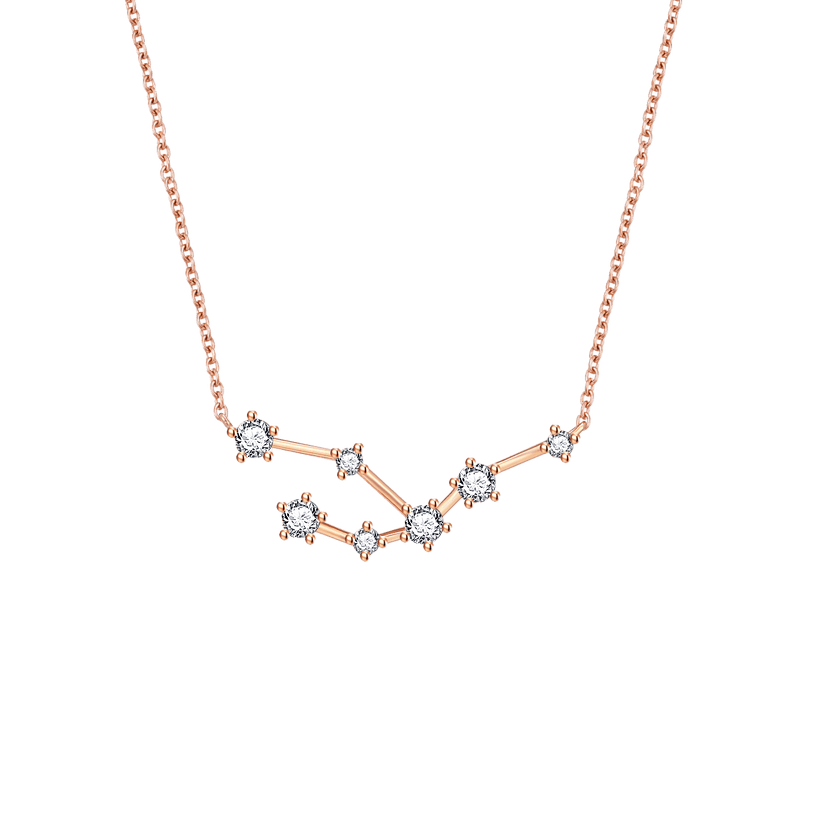 Zodiac Necklaces– The Future Rocks